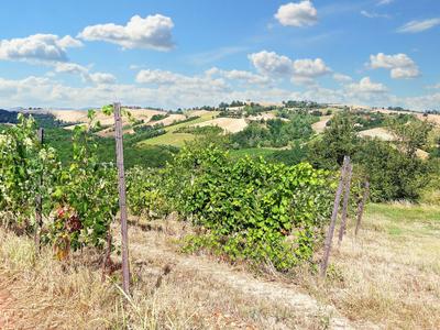 Terreni in Vendita o all'Asta Online - Quimmo