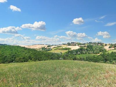 Terreni in Vendita o all'Asta Online - Quimmo